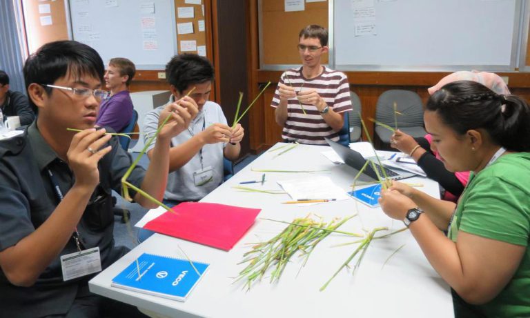 Hybrid Rice Seed Production Training – IRRI Education