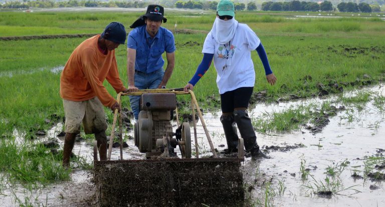 Basics of Rice Production – IRRI Education