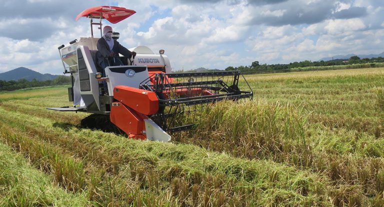 Combine Harvester Operation Skills – IRRI Education