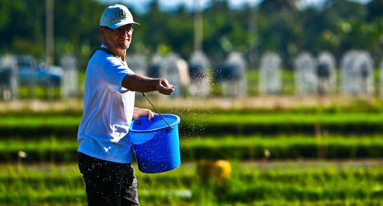 Crop Management – IRRI Education