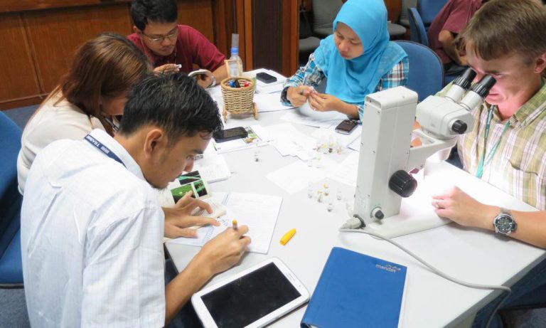Hybrid Rice Technology Workshop – IRRI Education