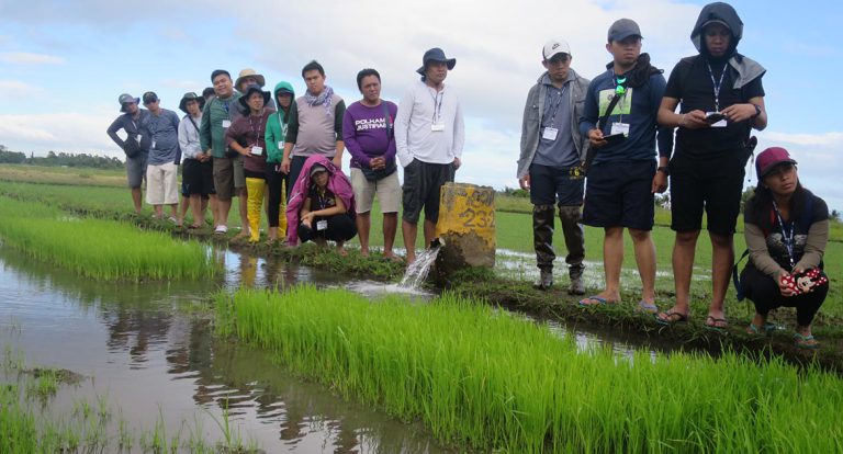 Rice Production Skills – IRRI Education