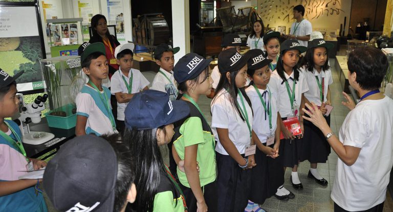 Standard school visit (Museum only) – IRRI Education
