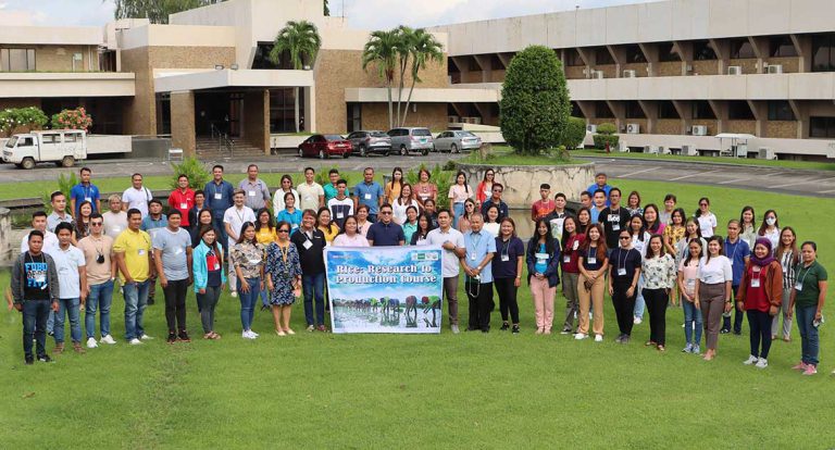 IRRI Education opens three courses on rice research, breeding, and ...