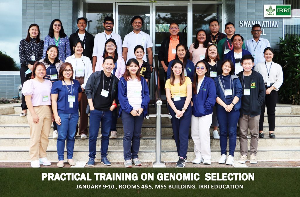 IRRI conducts training on genomic selection for IRRI, UPLB, and ...