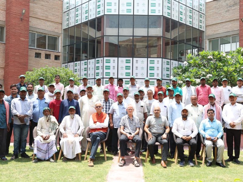 News and Events – IRRI Education