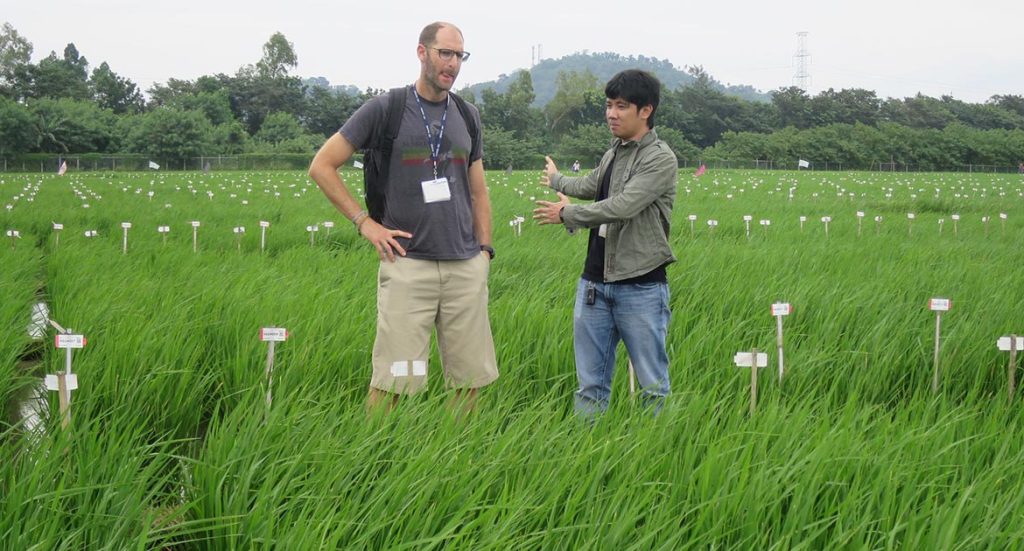 MSI Grants: PhD Sandwich Scholarship Program – IRRI Education