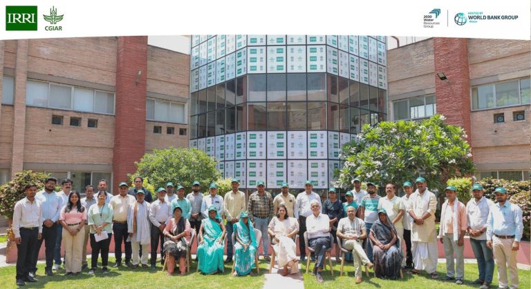 ISARC trained farmers on DSR – IRRI Education