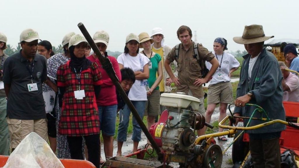 Cultivating the Next Generation of Rice Scientists: IRRI’s RR2P ...