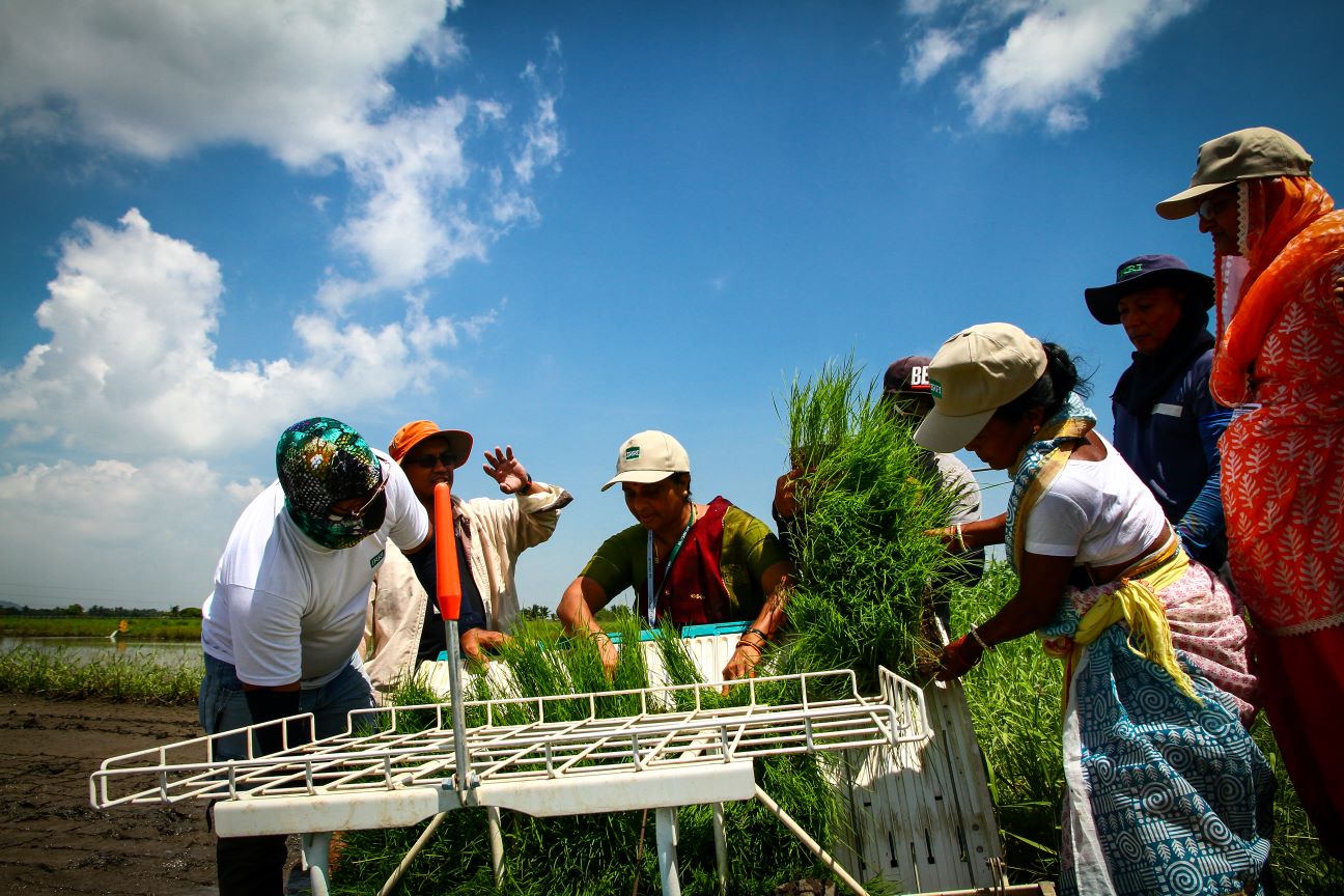 IRRI Education: 60 Years of Empowering Women in Rice Science and ...