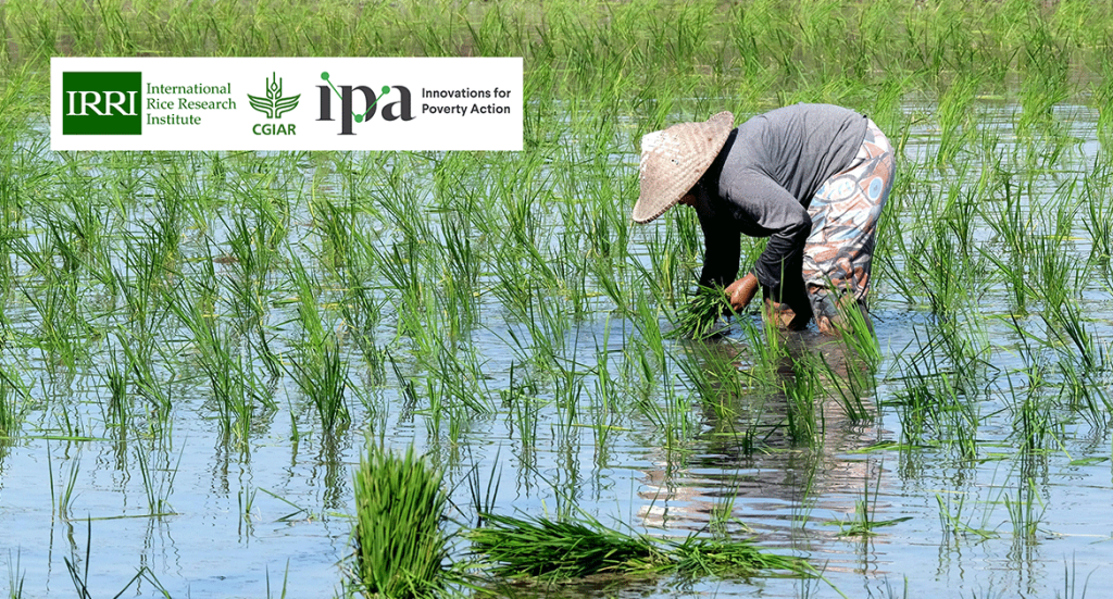 IPA-IRRI Monitoring & Program Evaluation Course – IRRI Education