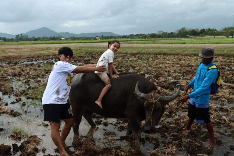 Grade School Students Enjoy Rice Planting Experience at IRRI – IRRI ...
