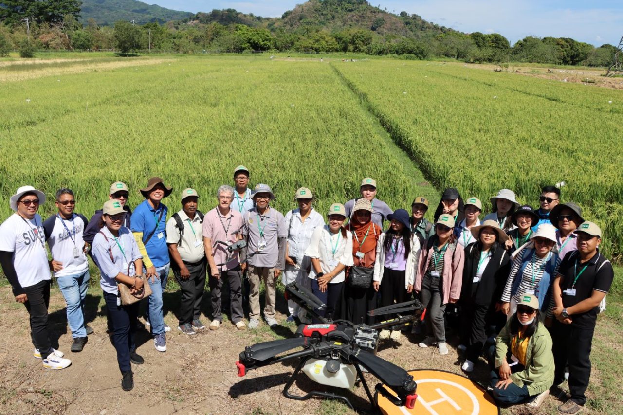IRRI Conducts Training on Advances in Rice Production and SRP ...