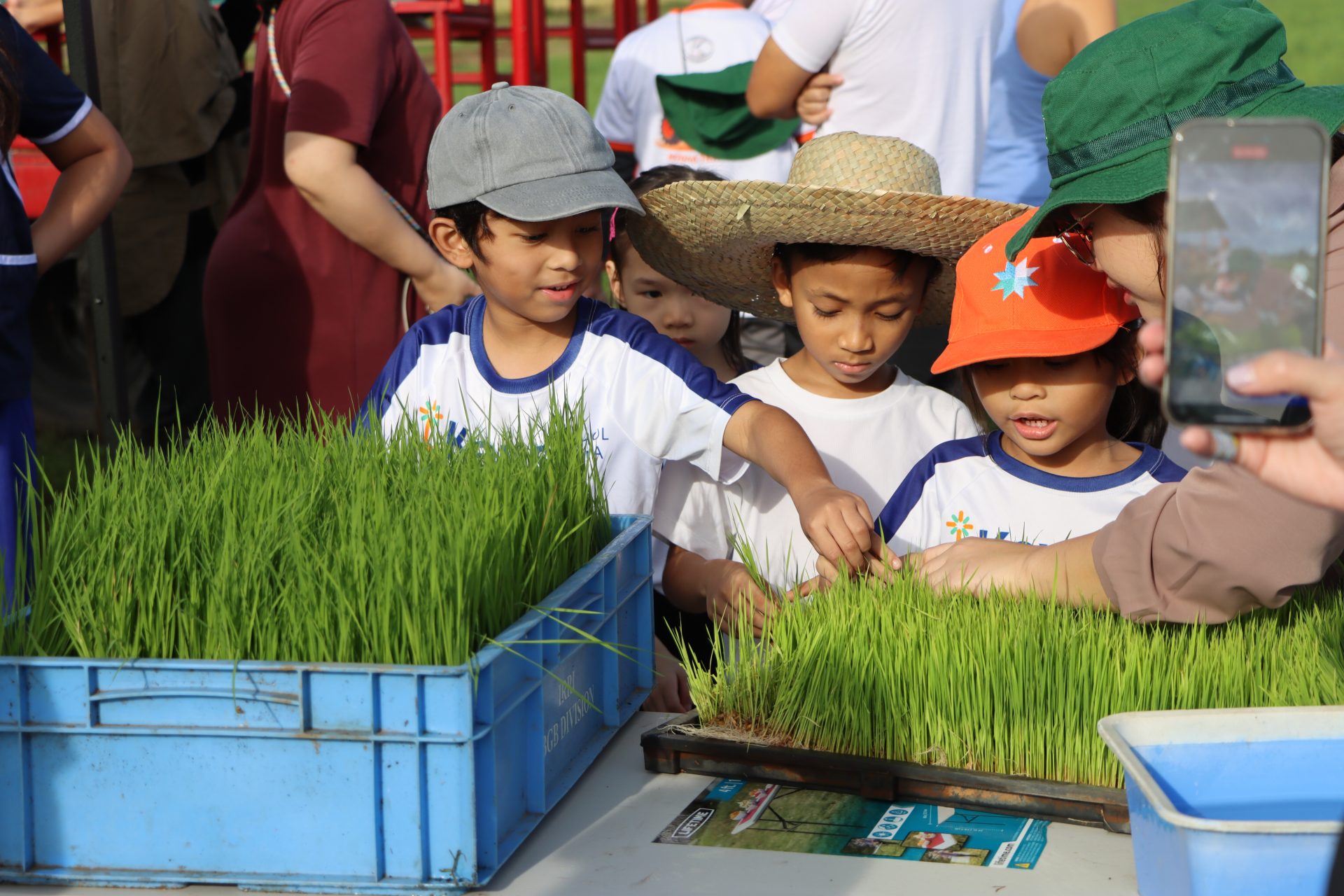 First Graders Experience Rice Farming at IRRI HQ – IRRI Education