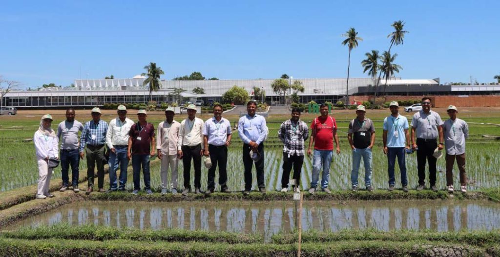 IRRI pioneers modern crop breeding strategy, trains researchers on One ...