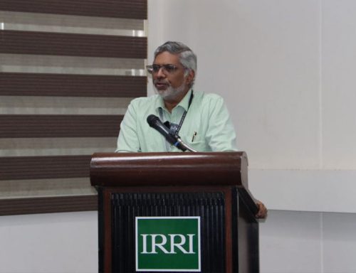 IRRI pioneers modern crop breeding strategy, trains researchers on One ...