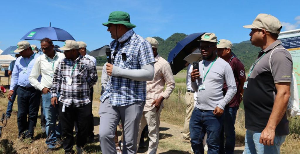 IRRI pioneers modern crop breeding strategy, trains researchers on One ...